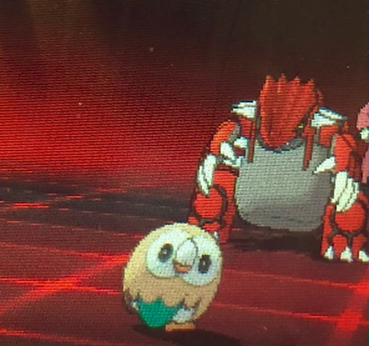 "leader of the squad" | Fandom