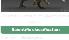 Question for the infoboxes | Fandom