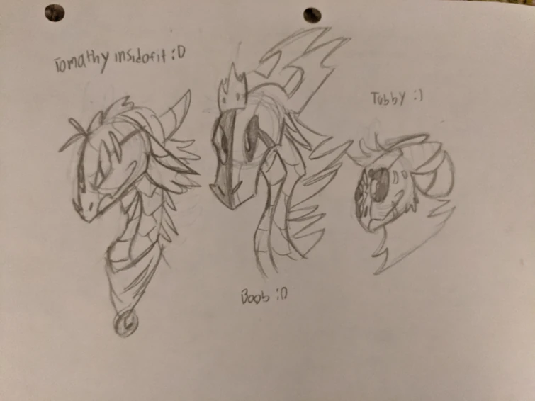 DSMP AS DRAGONS | Fandom