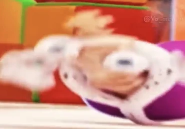 How many times have you watched TADC? | Fandom