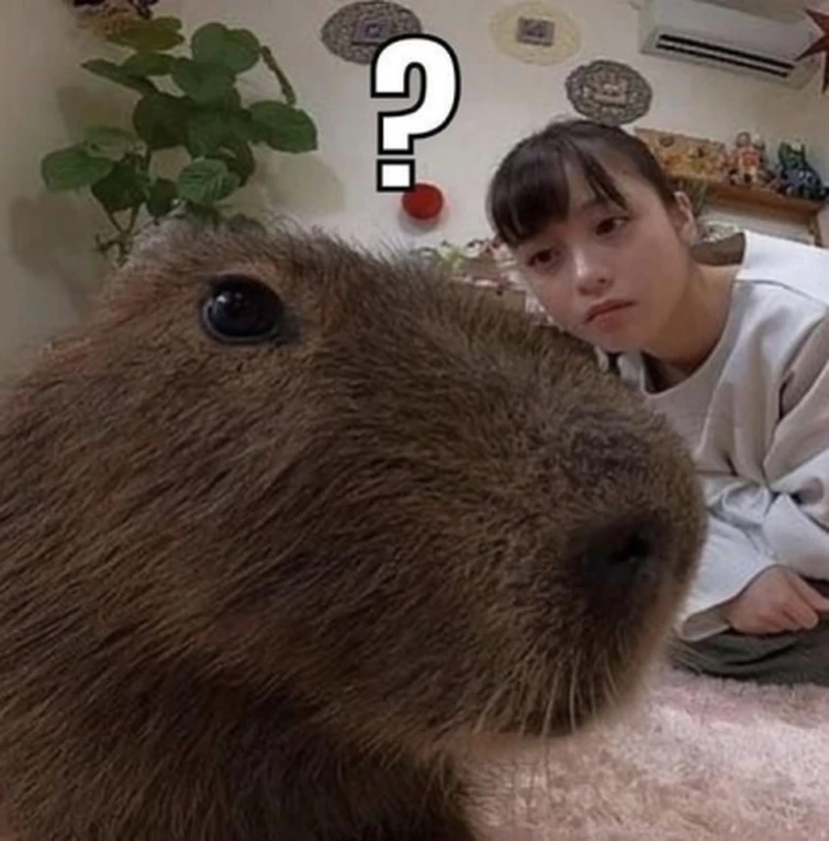 Typical Colors Classic (TCC) real??!?!?!?!?!?!?!! | Fandom