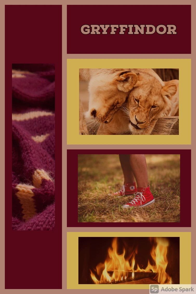 Happy Gryffindor Pride Day! | Fandom