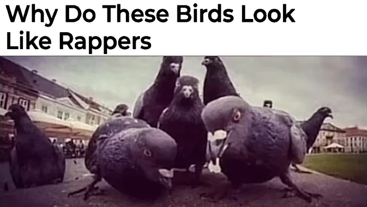 Weird ah things I shouldn’t post but I’m bored | Fandom