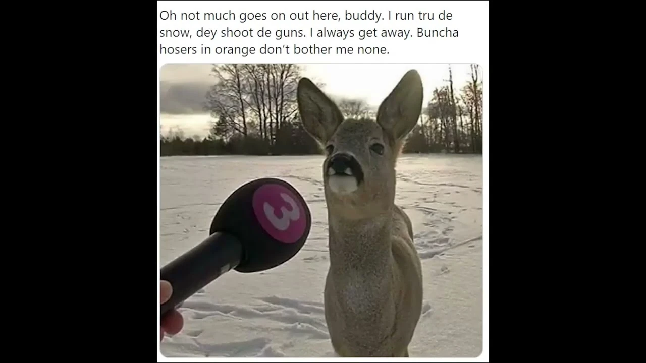 Canadian Deer | Fandom