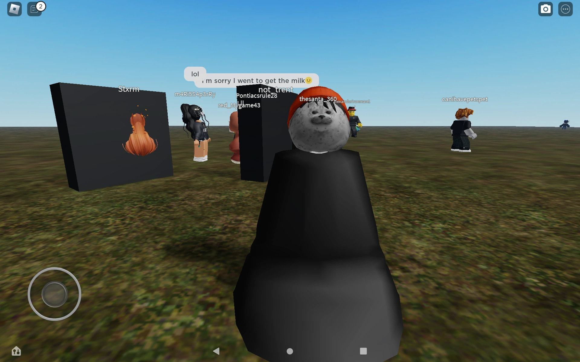 chonky Seal | Fandom