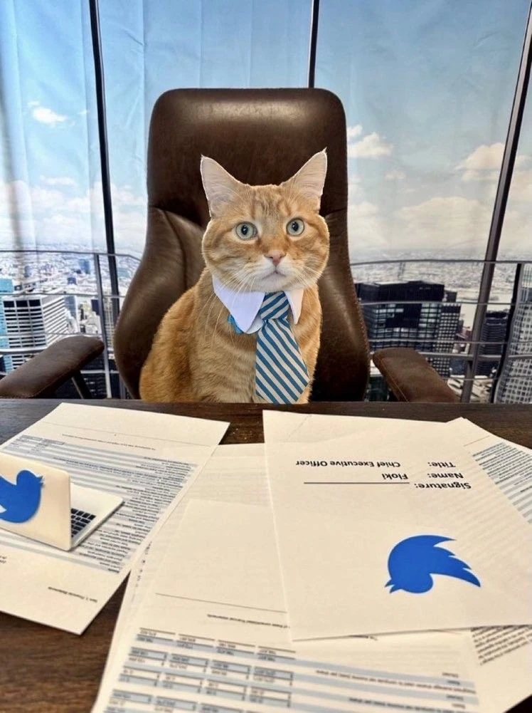 NEW TWITTER CEO 😱 | Fandom