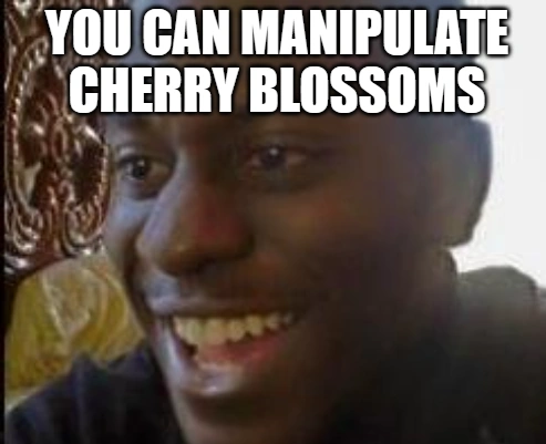 Cherry Blossoms meme i made | Fandom