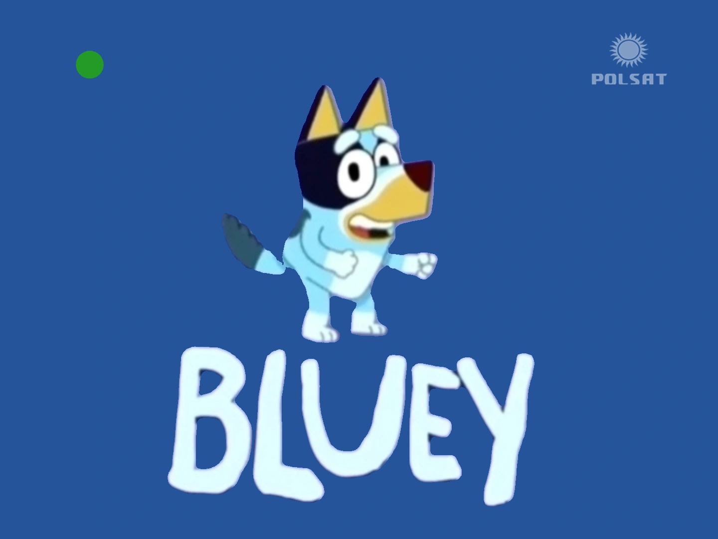 Bluey (2004 Series) | Fandom