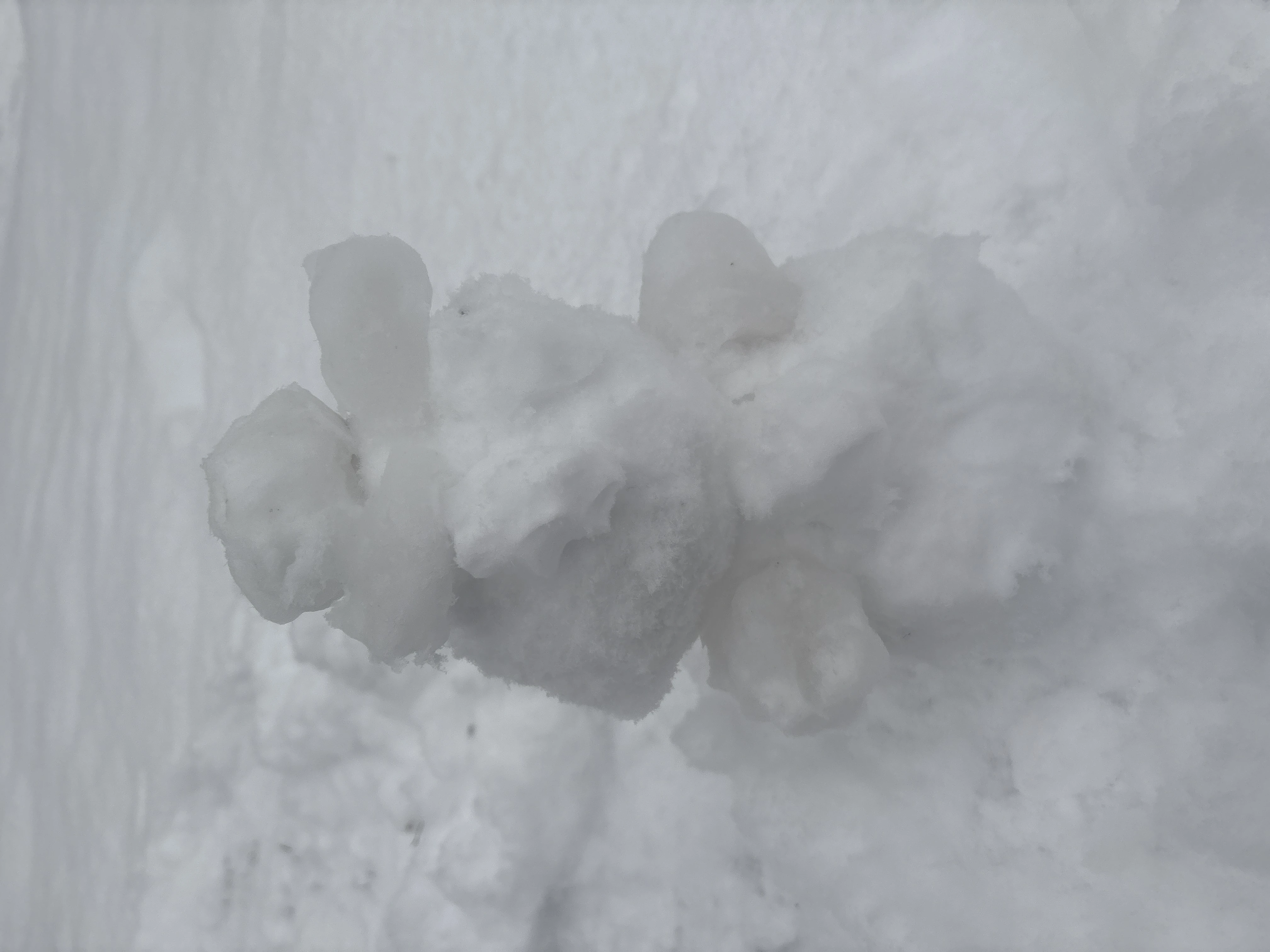 I made a Chilly! | Fandom