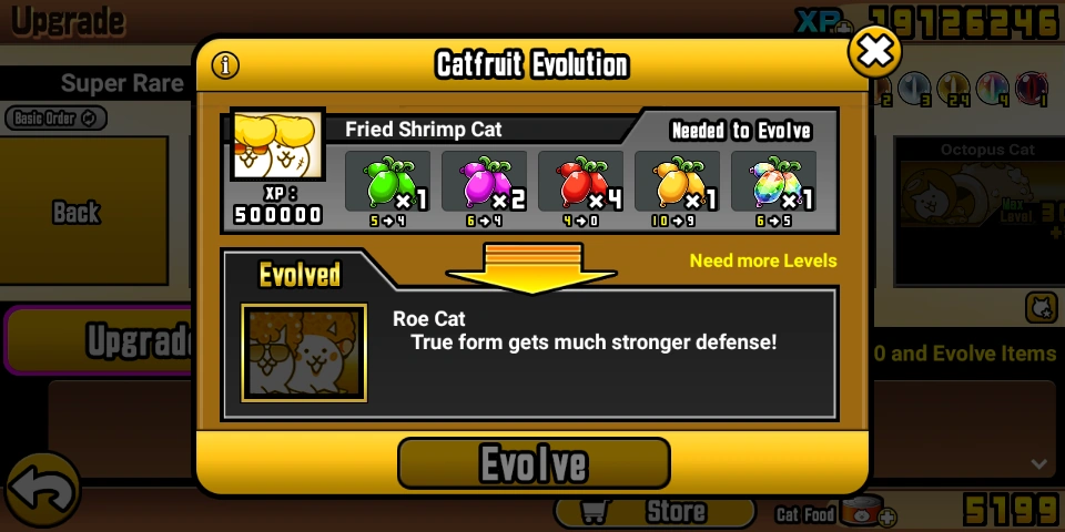 Should I evolve roe cat | Fandom