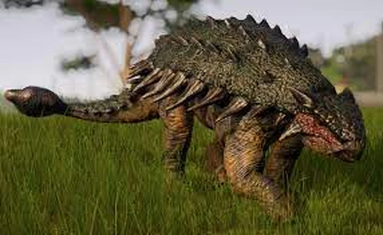 JWE Species Analysis | Fandom