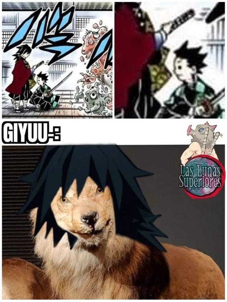 meems | Fandom
