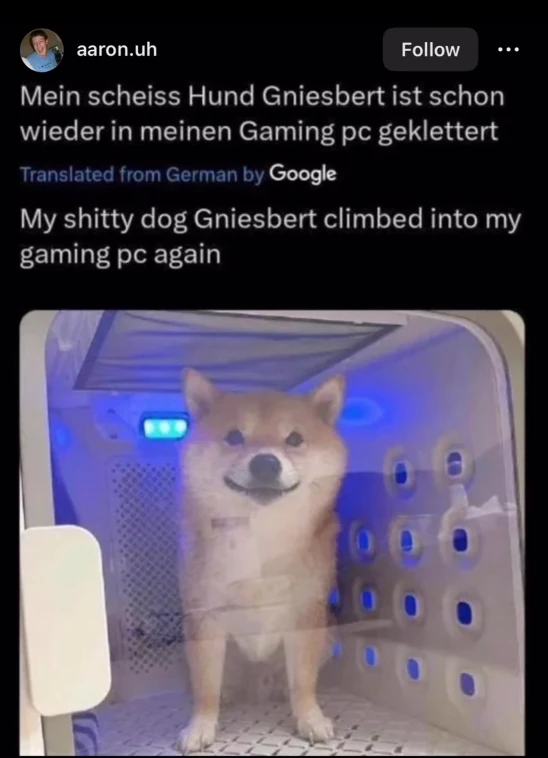 hey gamers | Fandom