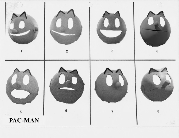 I made my own Face Reference S12 but something went wrong and the ...