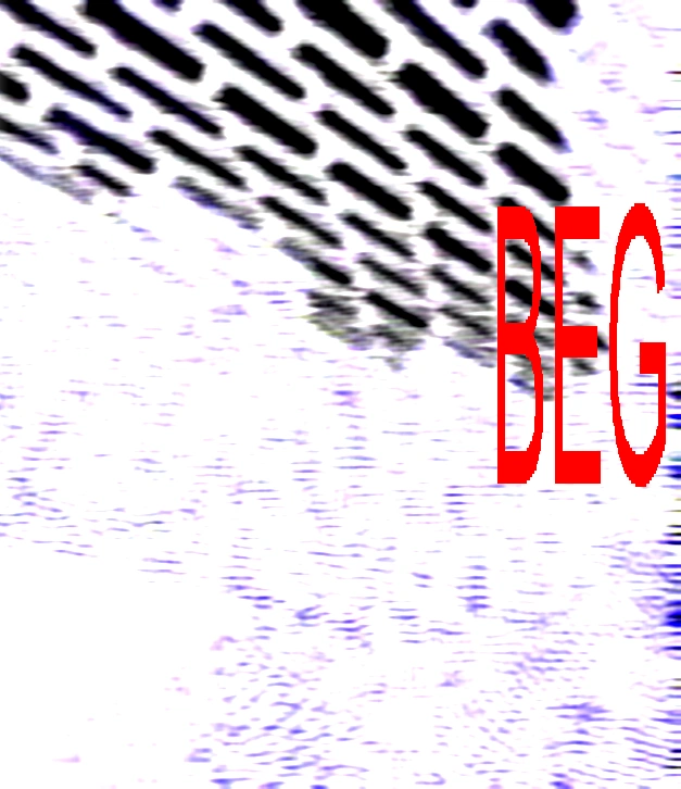 THE LAST TIME IM FEEDING YOU KIDS. GOOD BYE | Fandom