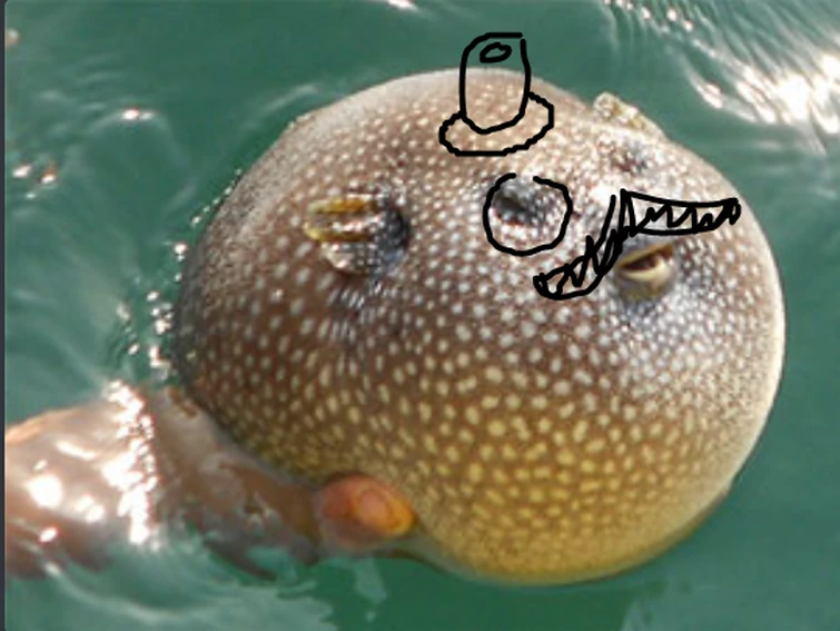 Okay, honest question.. | Fandom