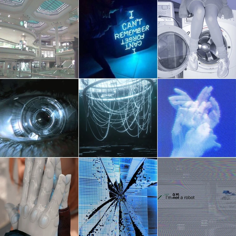 Discuss Everything About Aesthetics Wiki | Fandom