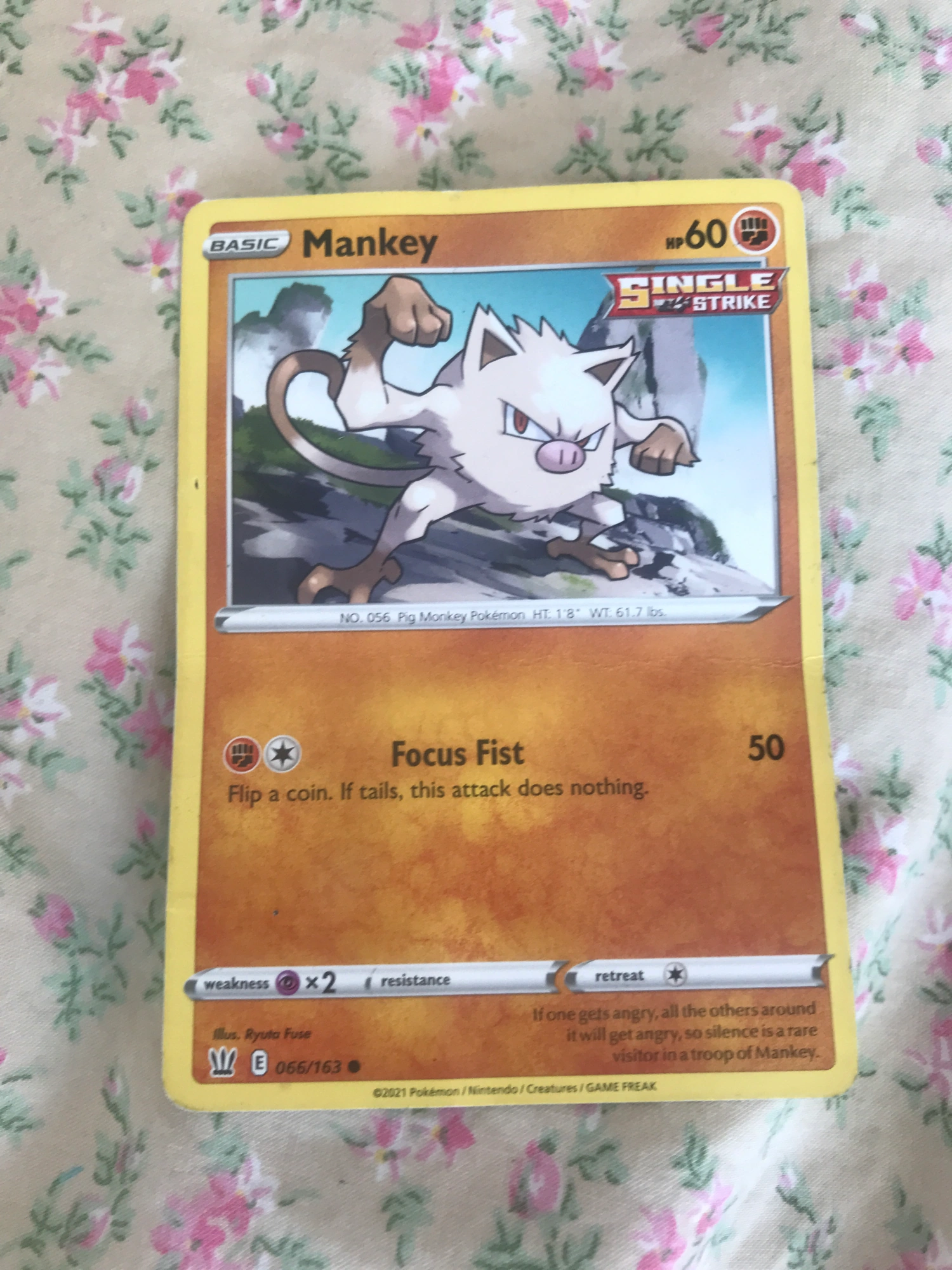 Mankey cute or not | Fandom