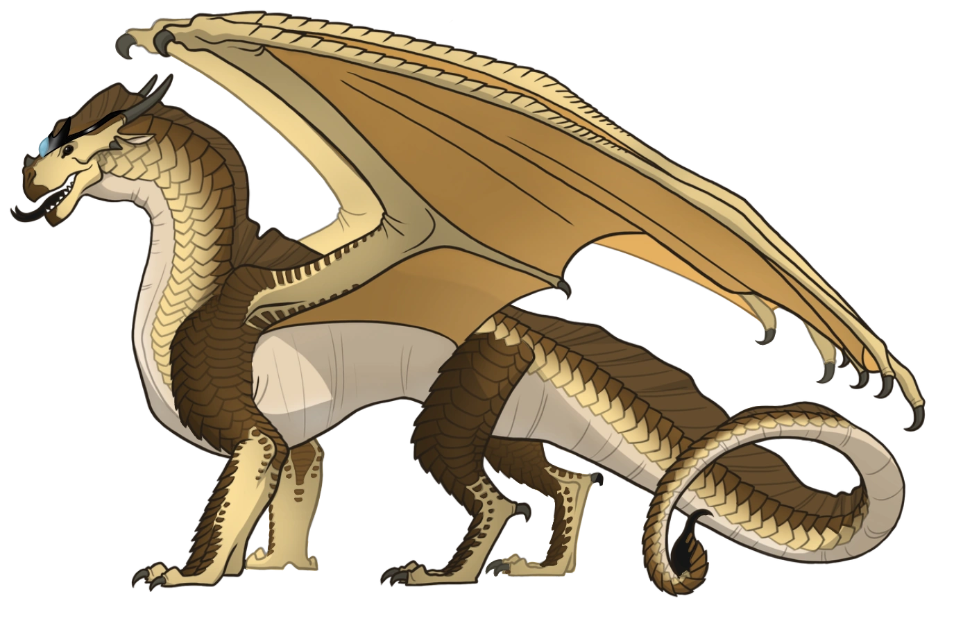 Queen oasis fan reference based on the sneak peak we got for tbn ...