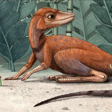 Discuss Everything About Dinopedia | Fandom