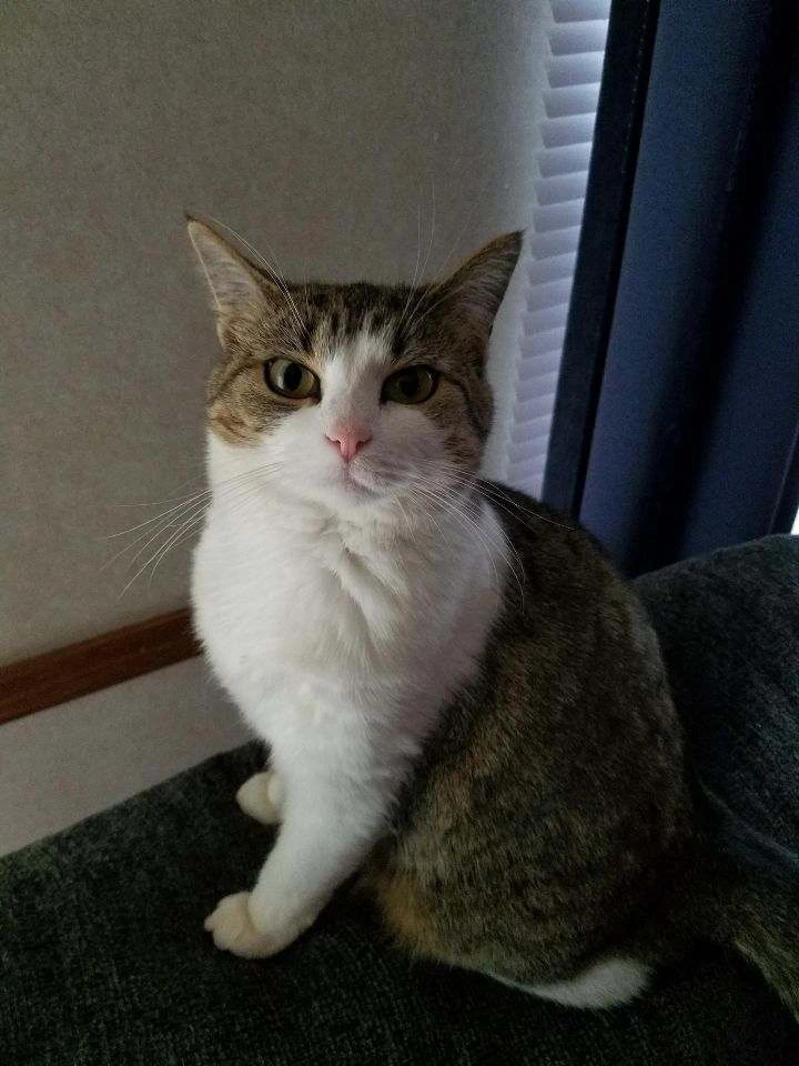 Twinkle Toes before she died | Fandom