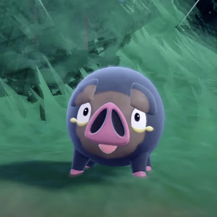 Pokemon: Scarlet and Violet The Series | Fandom