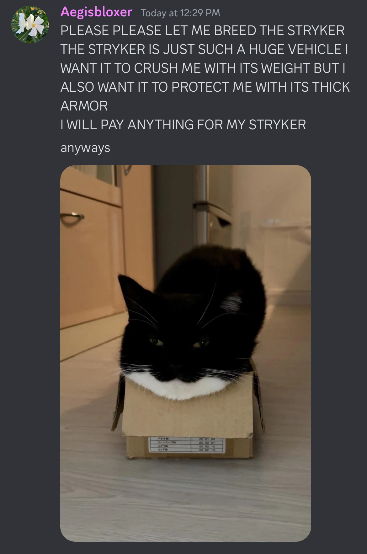 the people of pl5 discord, pt3 | Fandom