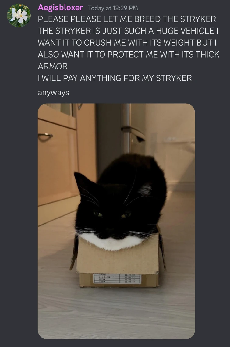 the people of pl5 discord, pt3 | Fandom