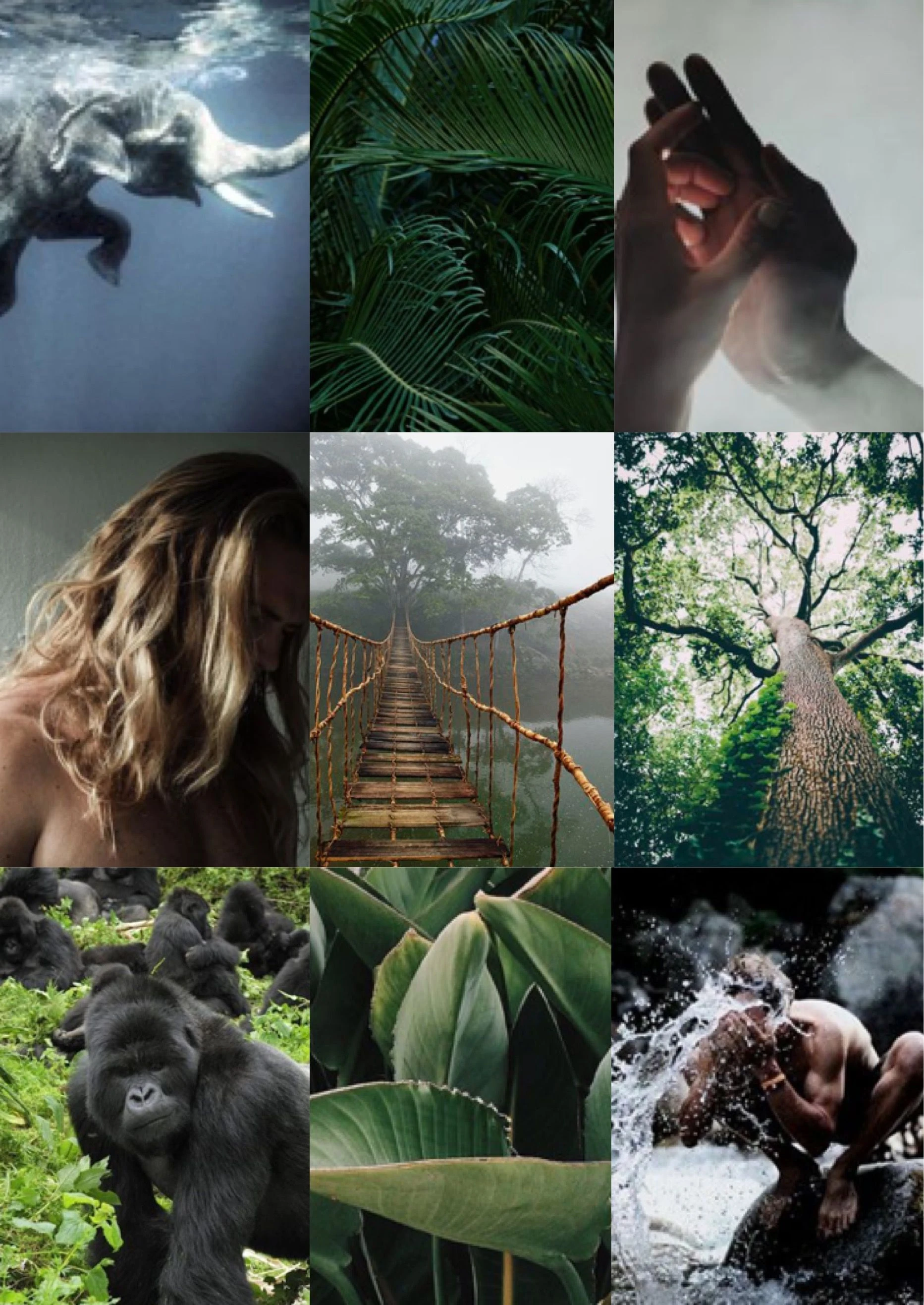 Animated aesthetics-Part 24 | Fandom