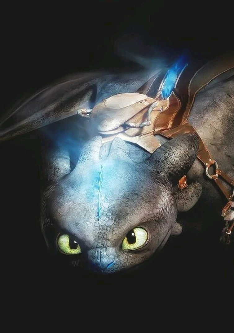 Toothless | Fandom