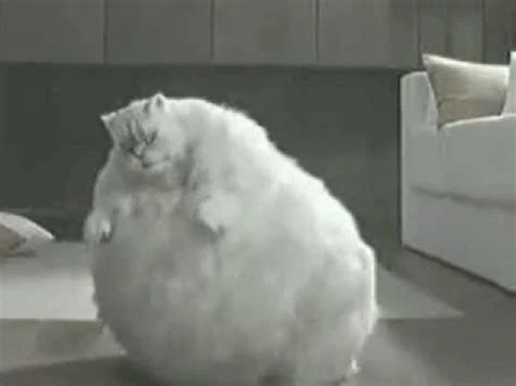 King Fatty Catty vs Devour Matchup! | Fandom