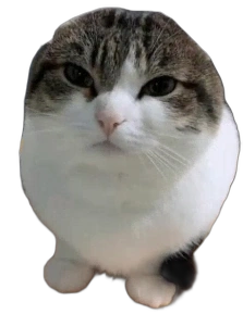 Give this man called wawa a page | Fandom