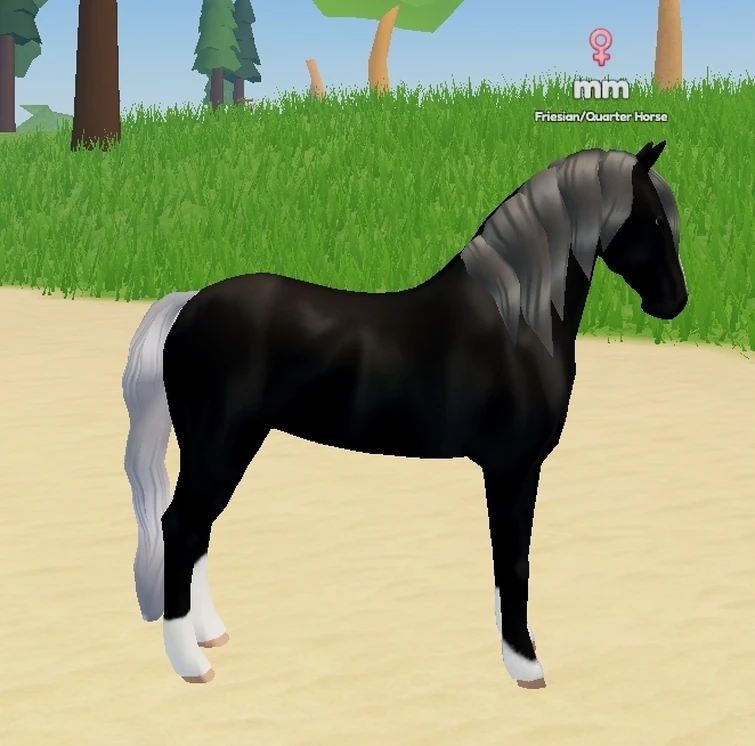 E. Trading / Selling 3 V1 MM Fris | Fandom