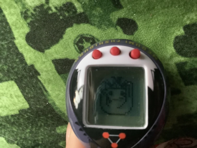 Megumi tamagotchi turned into Kasumi and idk how or how to turn it back ...
