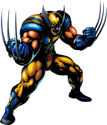 Wolverine Vs Wonder Woman (Marvel Vs DC) | Fandom