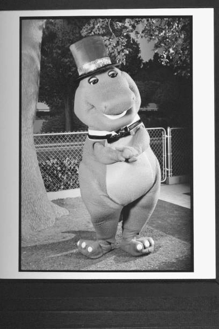 Discuss Everything About Barney Wiki | Fandom