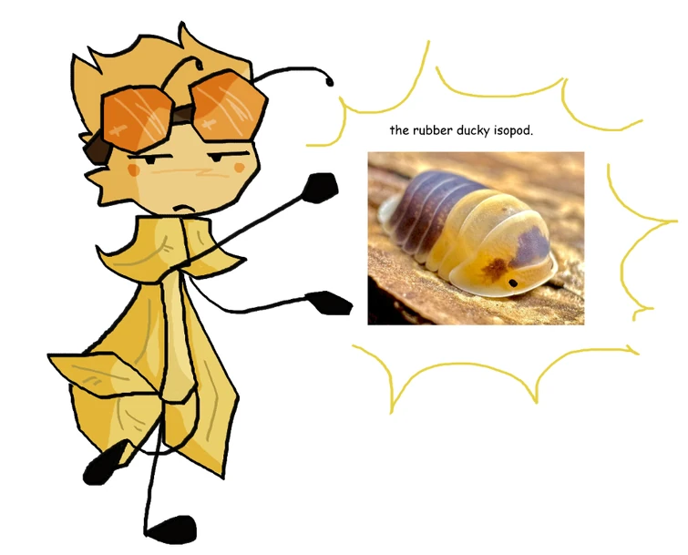 ASS 1: Oobily Goobily Geeber Weezers | Fandom