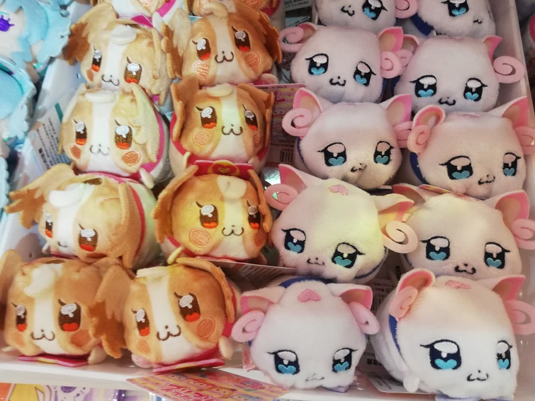 Discuss Everything About Pretty Cure Wiki | Fandom