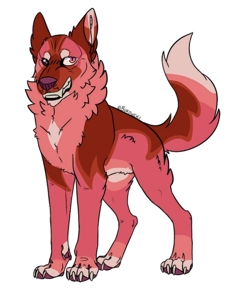 ayo what do i name this cat | Fandom