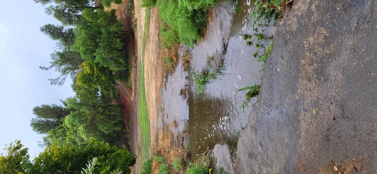 Just three days ago it was 104F and now there's a hurricane; classic ...