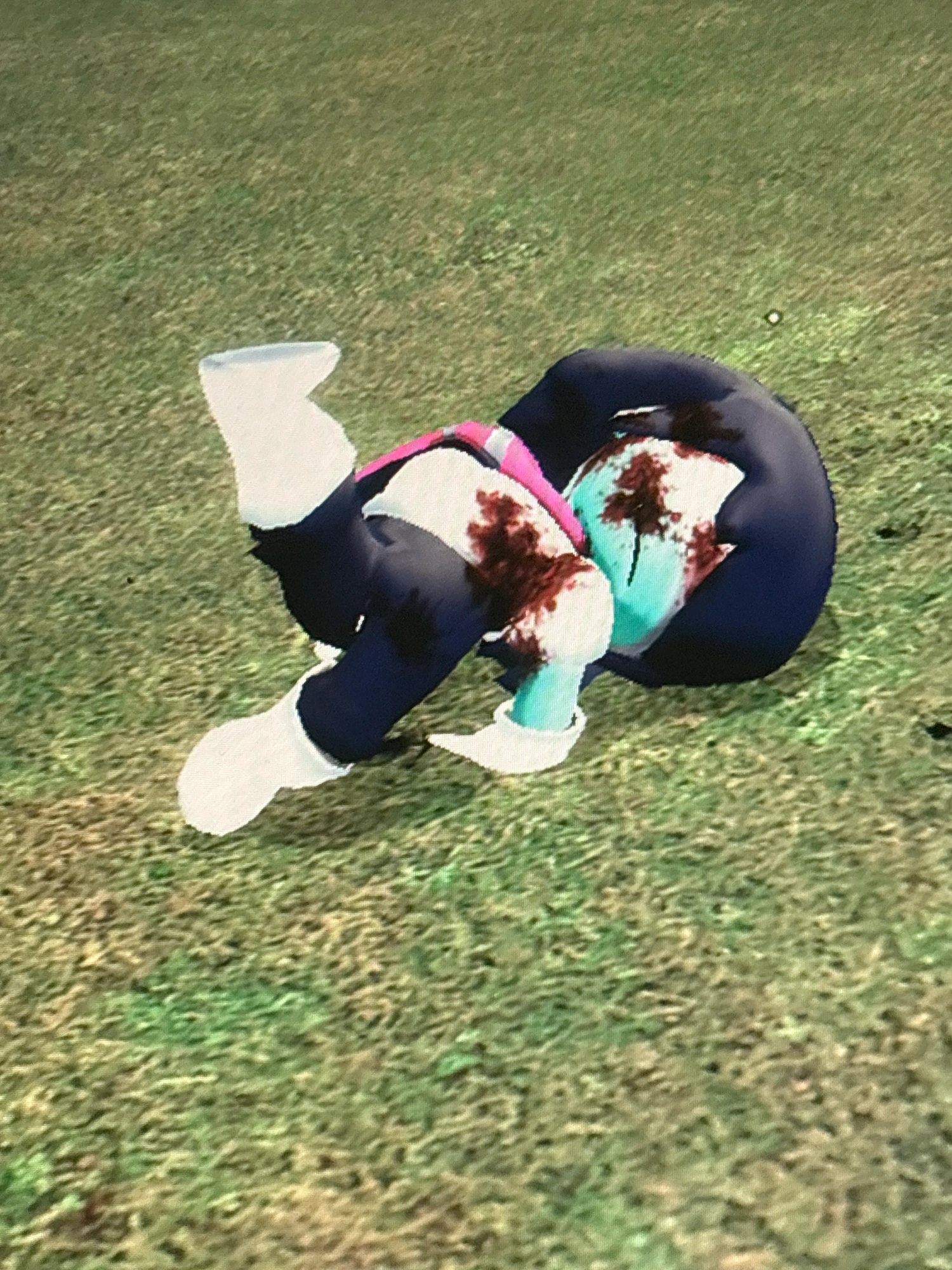 Kris shot dead in the Bronx | Fandom