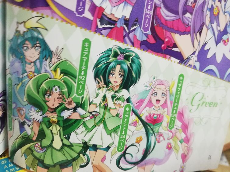 Green Team and Red Team From 20th Anniversary Pretty Cure Costume ...