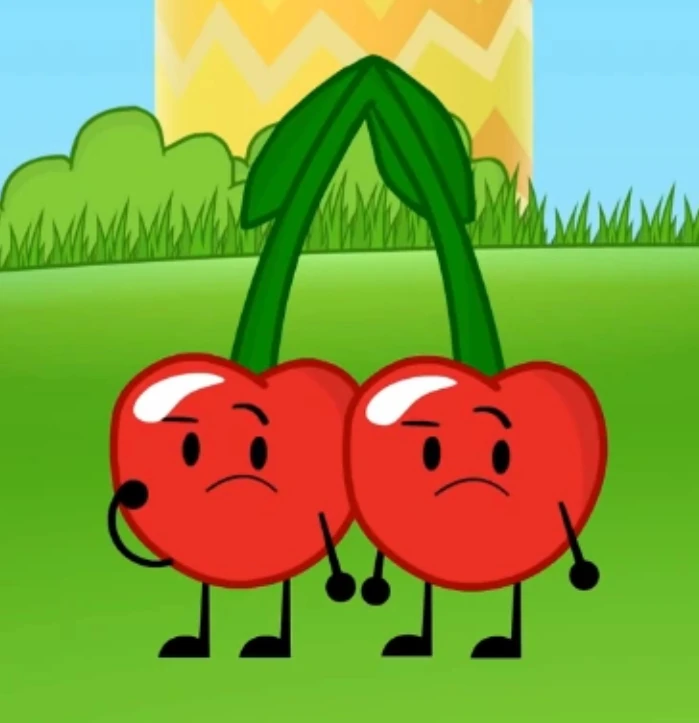 Up Close and Personal Observations of Cherries | Fandom