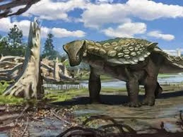 Discuss Everything About Dinopedia | Fandom