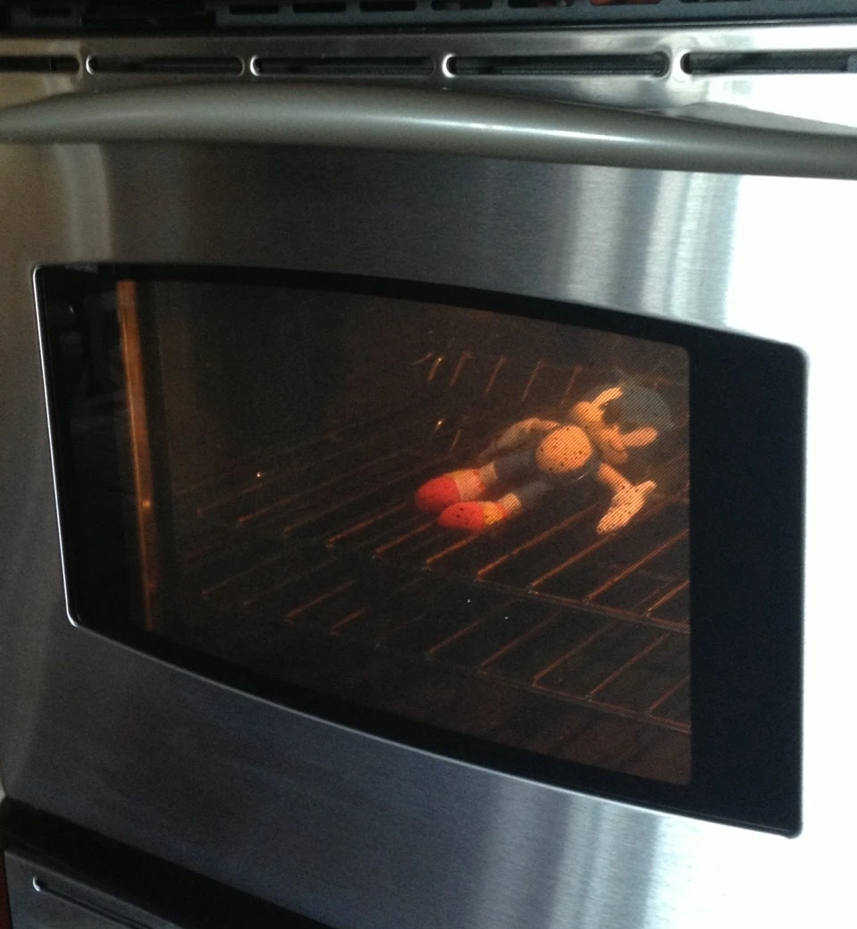 hmm, roasted hedgehog! | Fandom