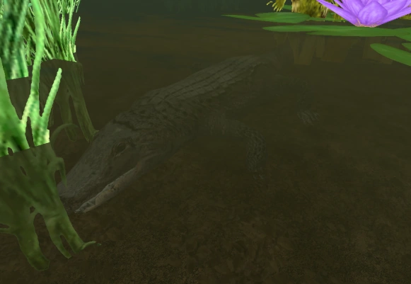 Dinopedia zoo 3: Alligator mefferdi | Fandom
