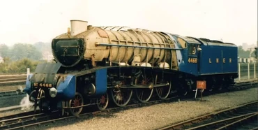 Discuss Everything About Thomas the Tank Engine Wiki | Fandom