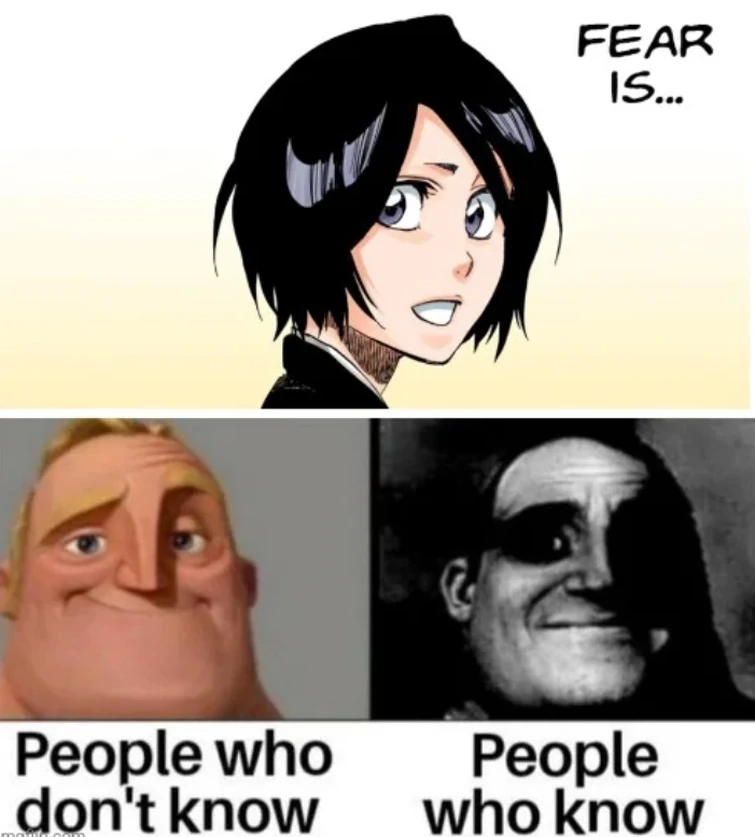 Duality of a Bleach fan | Fandom