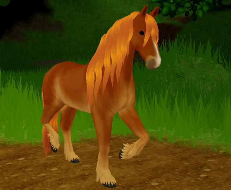 Discuss Everything About Wild Horse Islands Wiki | Fandom