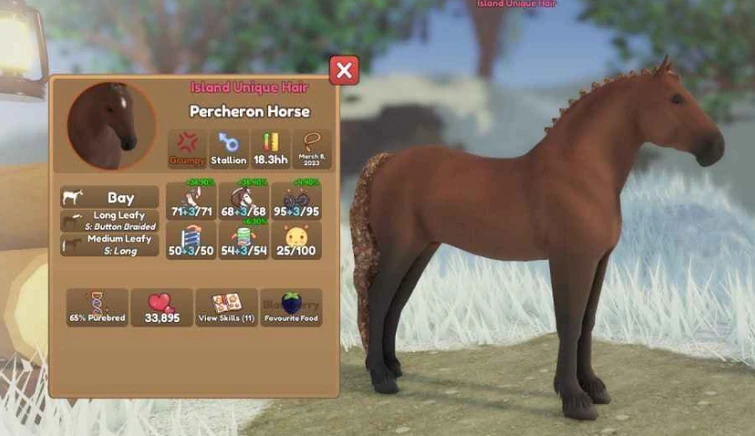 Discuss Everything About Wild Horse Islands Wiki | Fandom